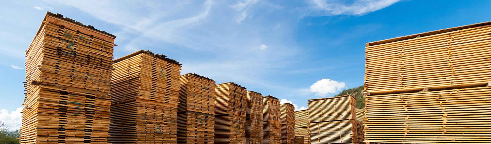 Lumber in the Northeastern US - What You Need to Know | Builders' General