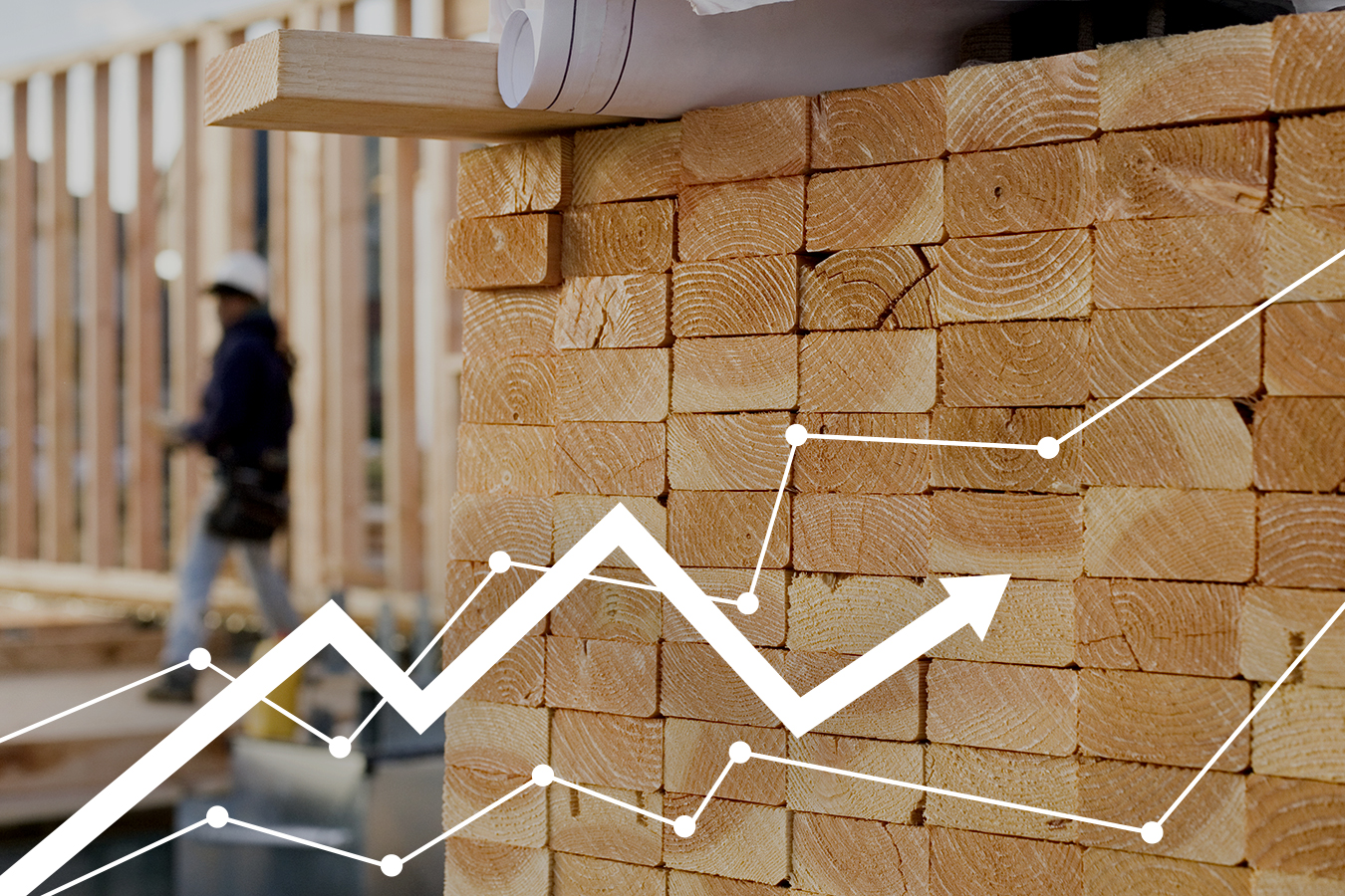 2024 Lumber Prices: Analysis & Insights | Builders' General